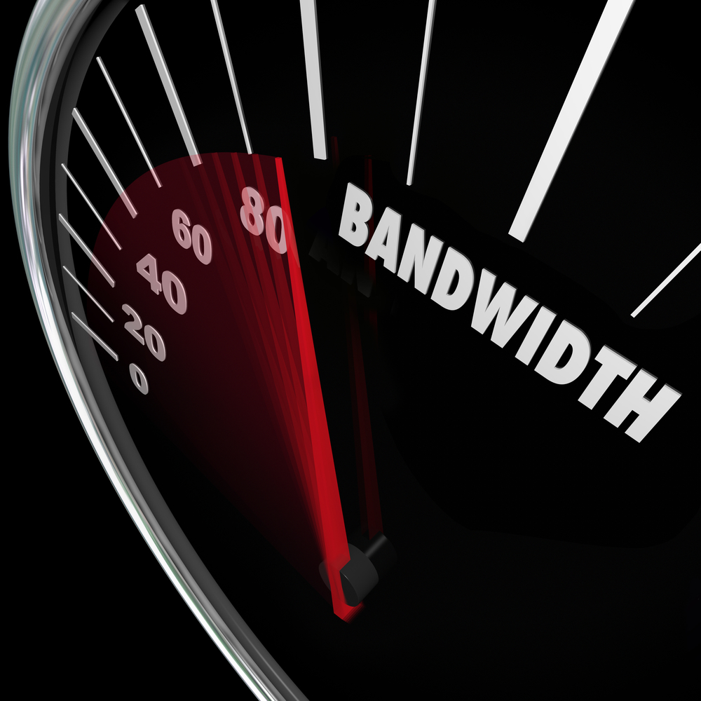 Importance Of Bandwidth Usage Of Your Website Seekahost™