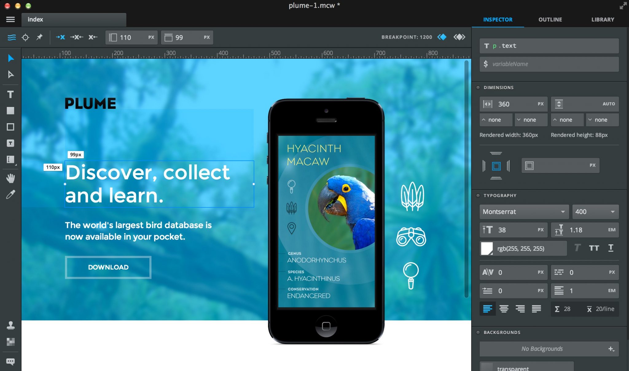 Top 10 Web Design Tools for Modern Web Development | SeekaHost™