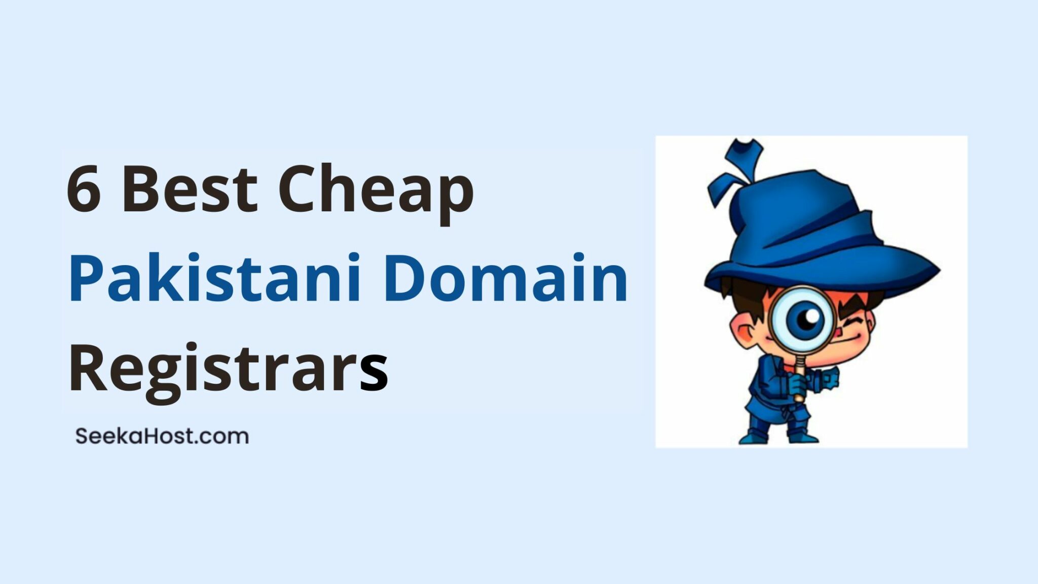 6 Best Cheap Pakistani Domain Registration Services | SeekaHost™