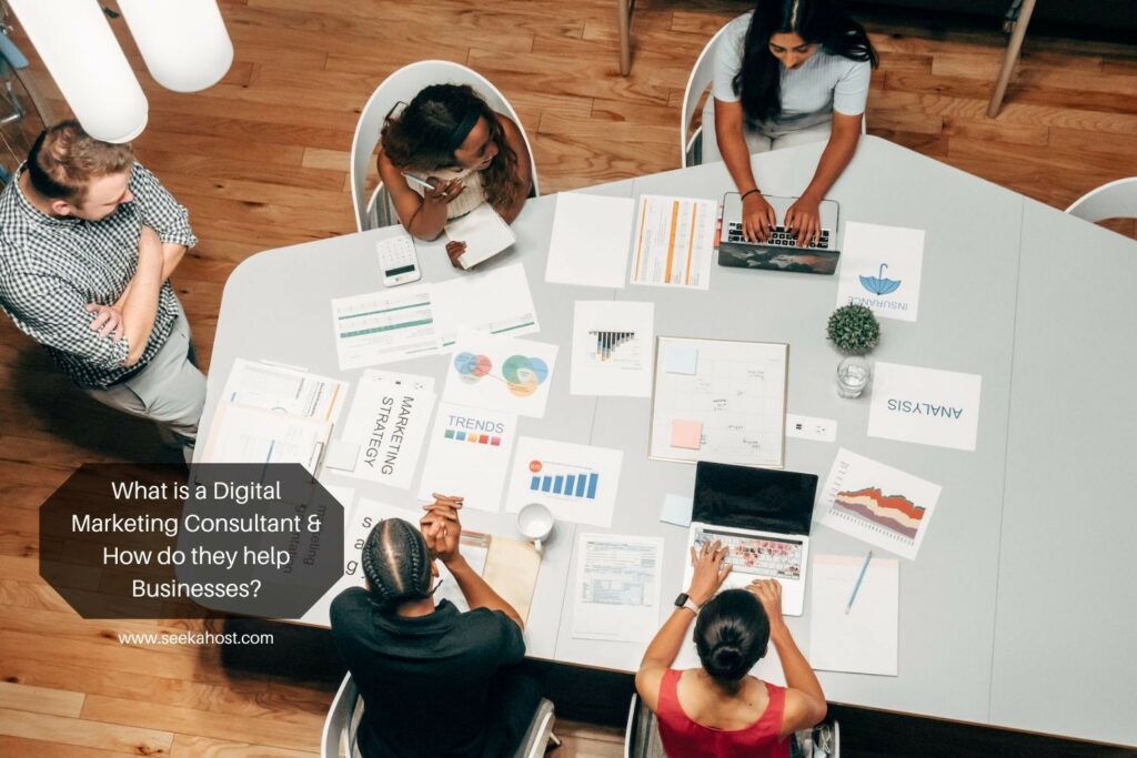 Digital Marketing Consultant & how can they help Businesses